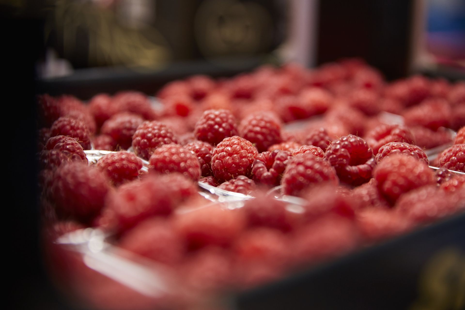 Over ons | Fast&Fresh